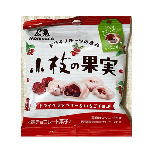 ＜関係者以外注文不可＞小枝の果実【JFE商事甲南スチールセンター】 – ZERO